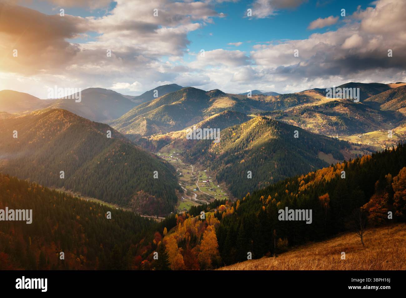 Captivating forest hi-res stock photography and images - Alamy