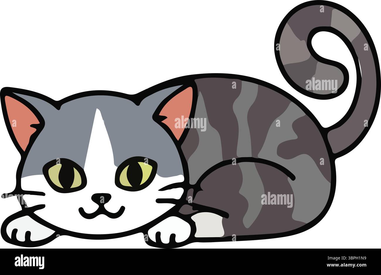 colorful playful kitten vector illustration, domestic cats in various ...