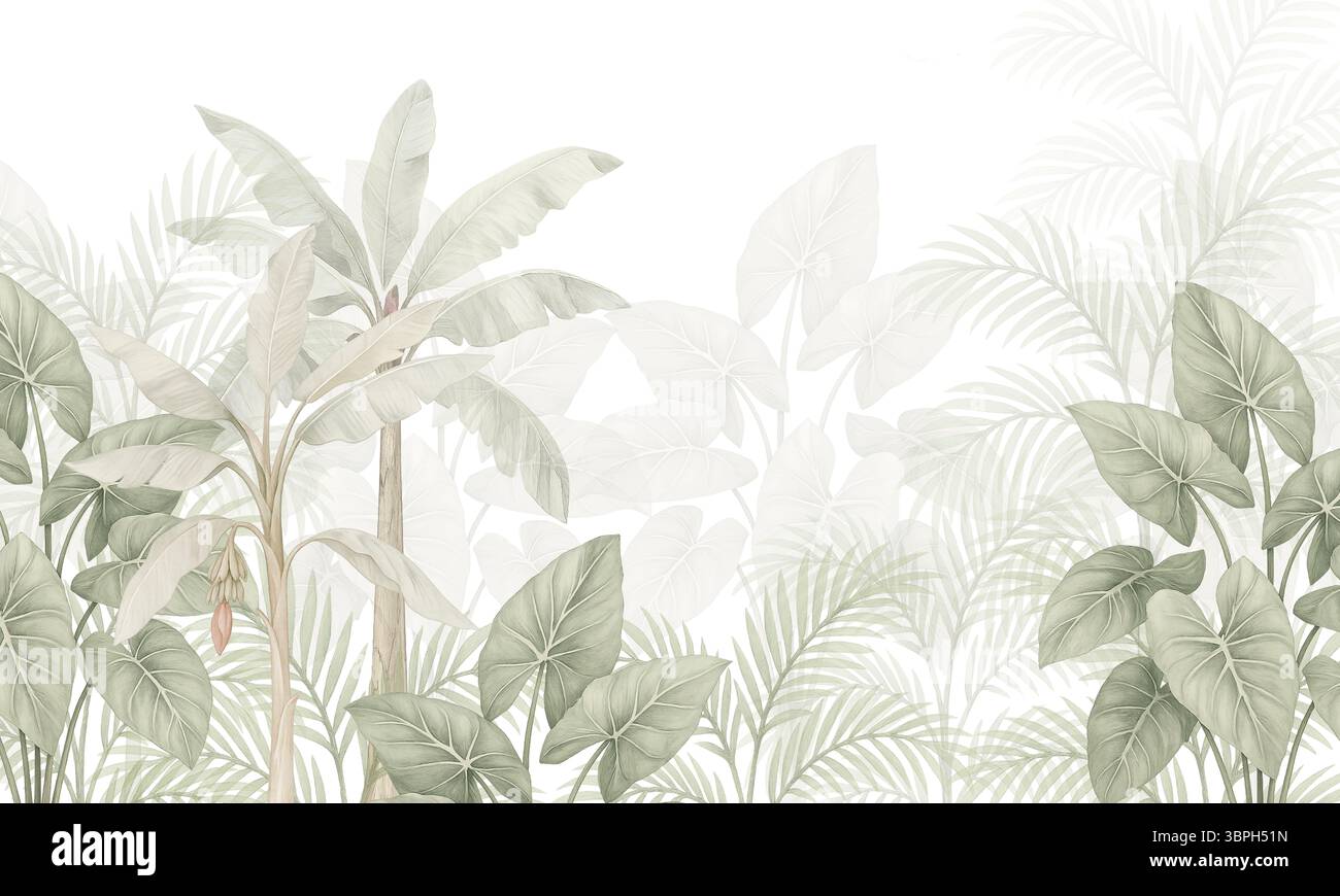 Muted green banana leaf mural – tropical jungle botanical wallpaper in ...