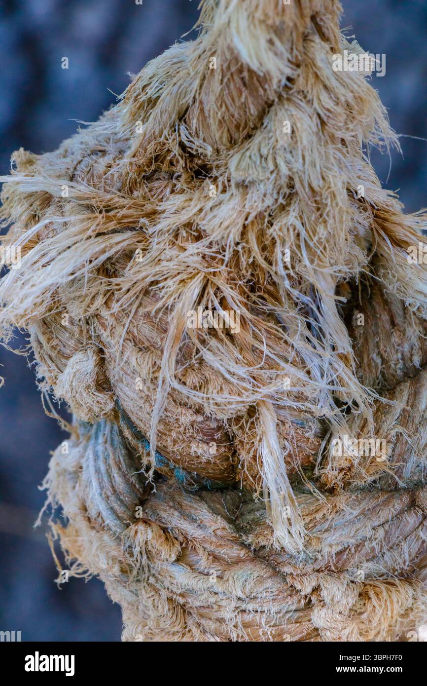 A close-up view of a tightly tied knot made from natural fiber rope ...