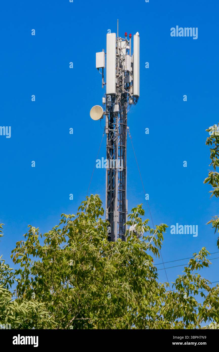 A tall cell tower rises above lush green trees under a bright blue sky. The structure is ...