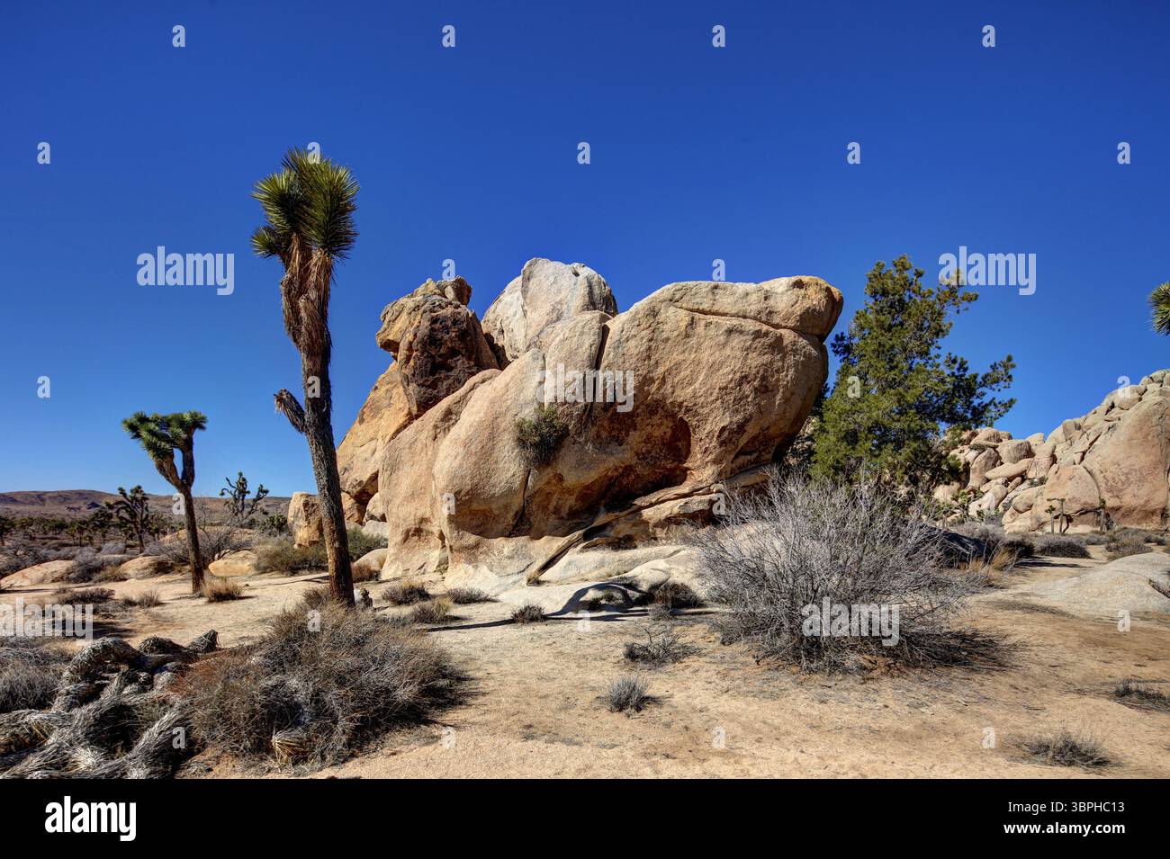 Scenery in and around Joshua Tree National Park Stock Photo - Alamy