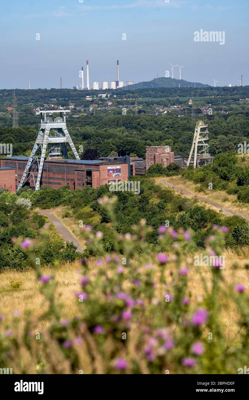 Das Doppelbock Fördergerüst des stillgelegten Bergwerks Ewald, Schacht ...