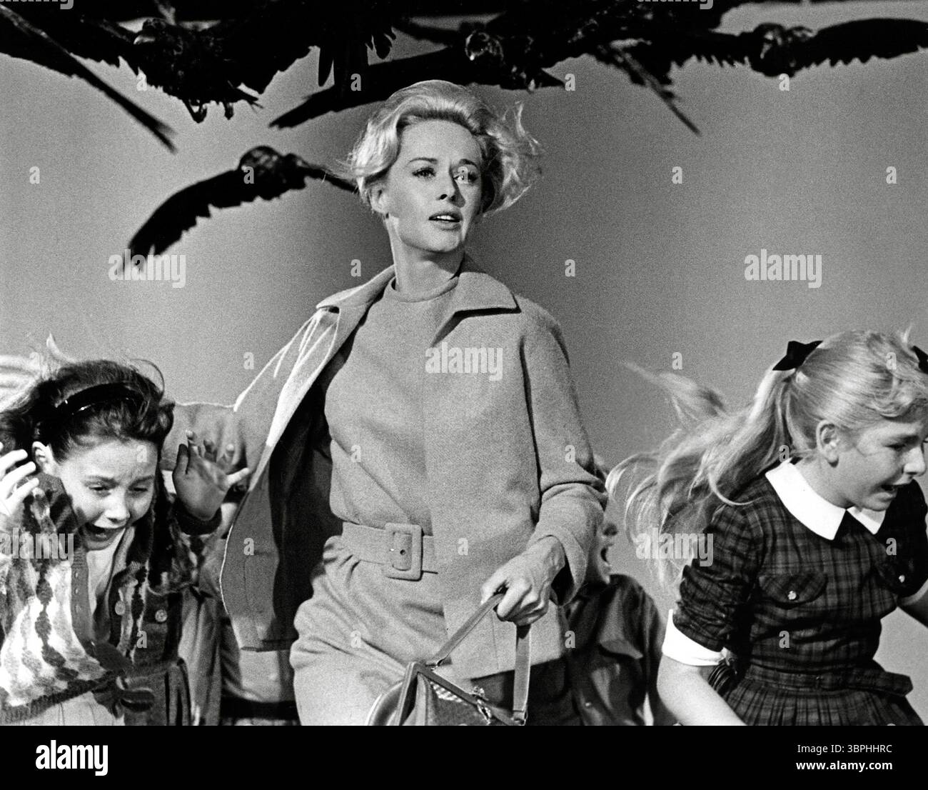 Tippi Hedren, "The Birds" 1963 / File Reference # 34900-0522THA Stock ...