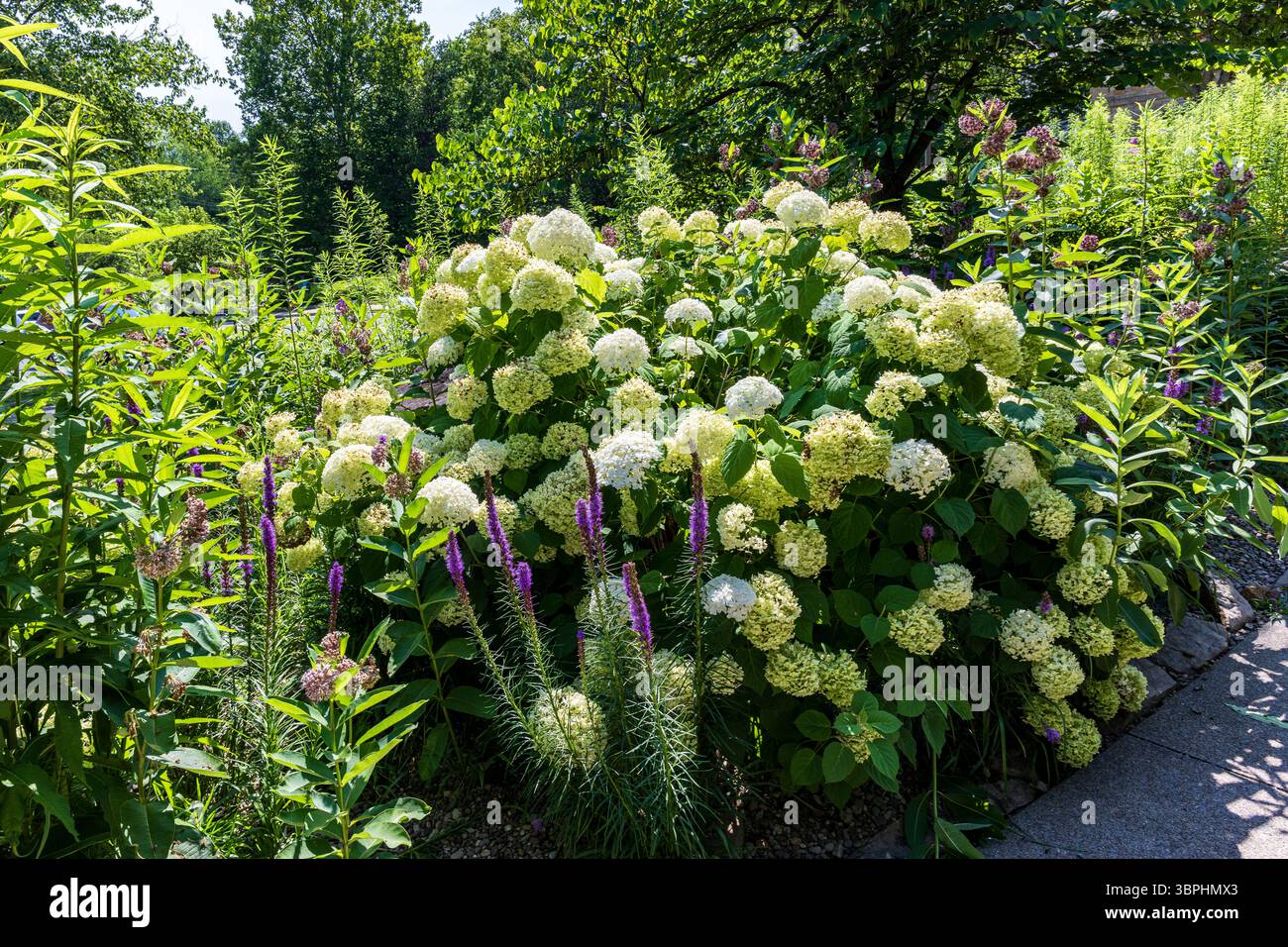 New River Gorge National park in Fayette West Virginia Stock Photo - Alamy