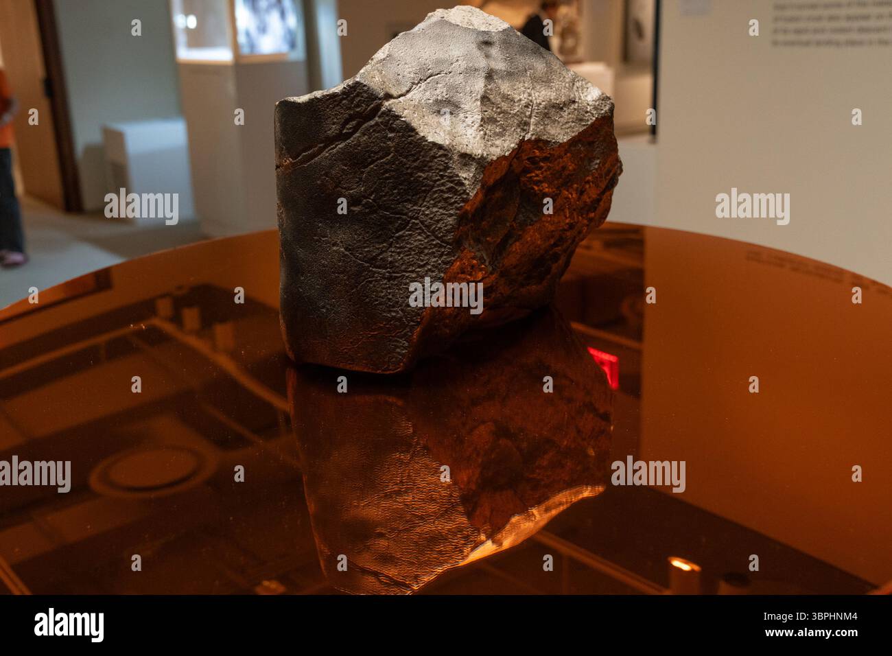 The Largest and Most Valuable Piece of Mars on Earth: NWA 16788 ...