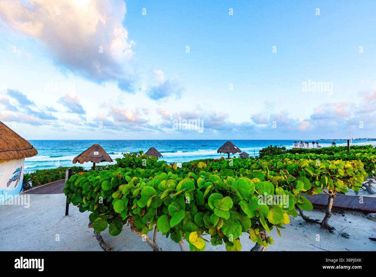 A vibrant collection of beach photographs taken at Playa Delfines after ...
