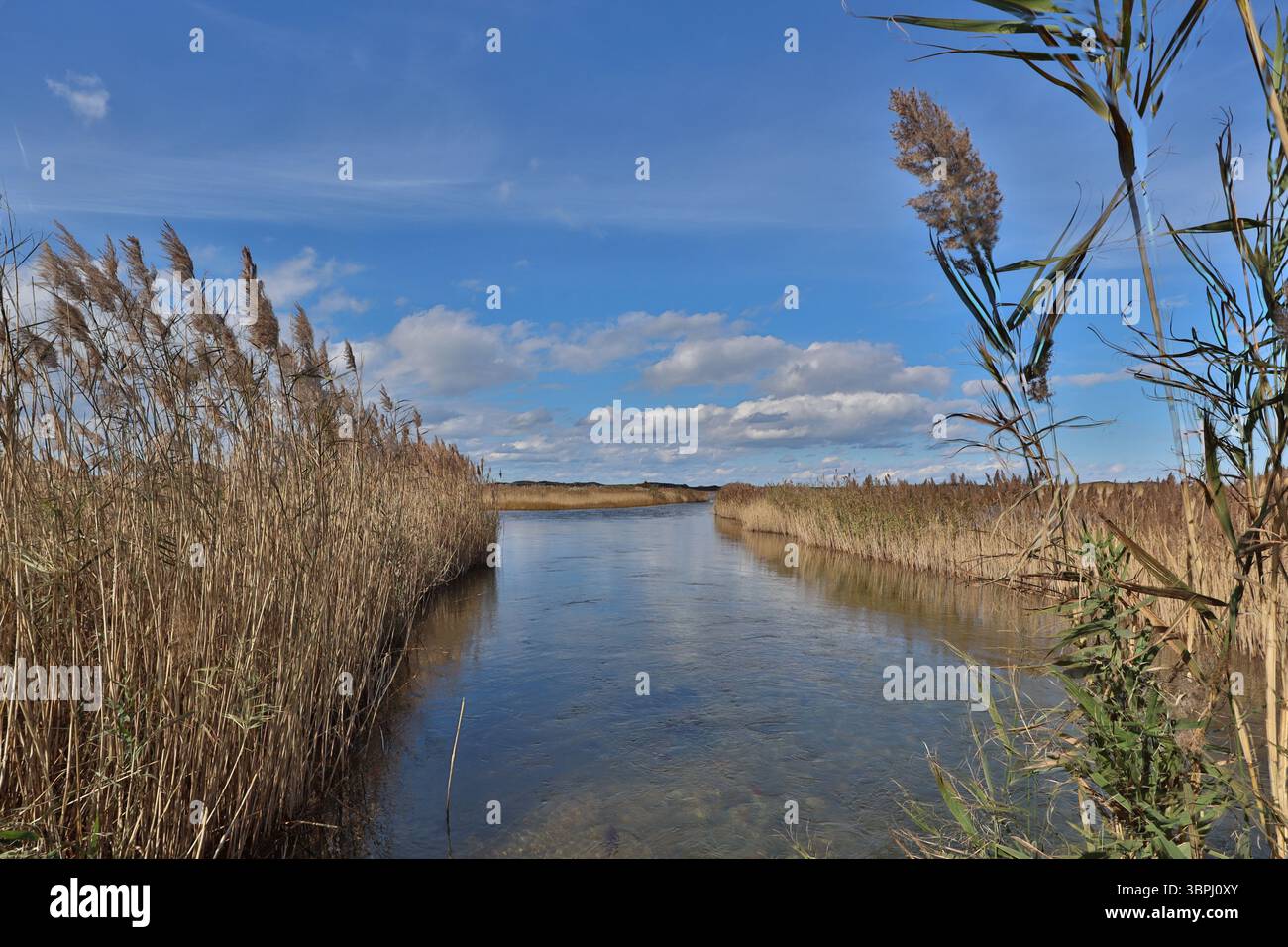 Cape Cod Scenes, sunny beach days to Lighthouses to foggy harbors ...