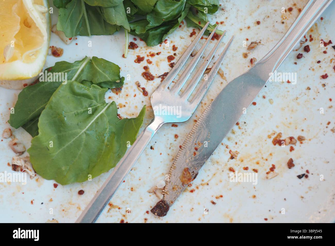Leftover meal remnants on an empty plate after dining Stock Photo - Alamy