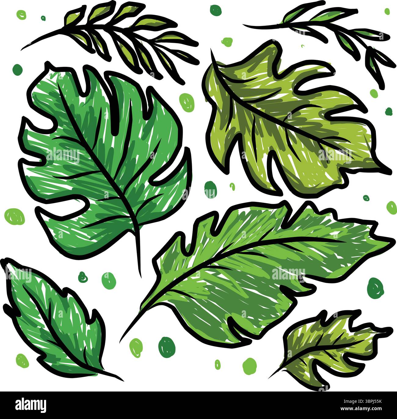 leaf green doodle vector set Stock Vector Image & Art - Alamy