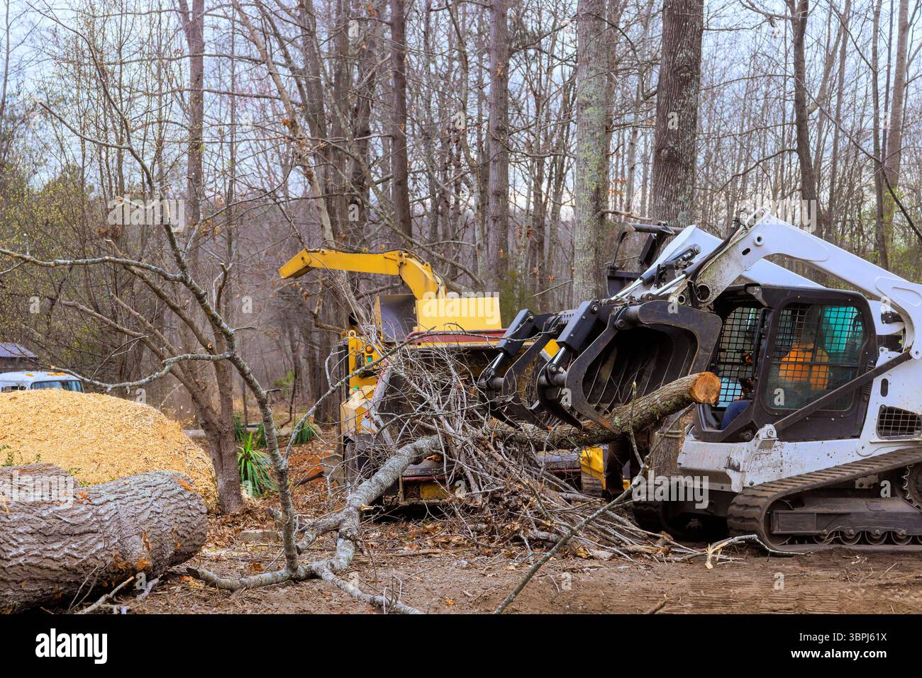Heavy machinery works to clear fallen tree debris in forested area ...