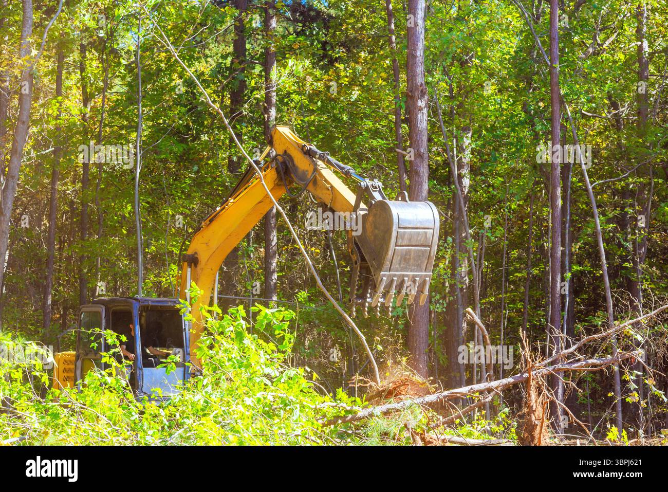 Excavator operates efficiently, clearing trees in deforestation forest ...