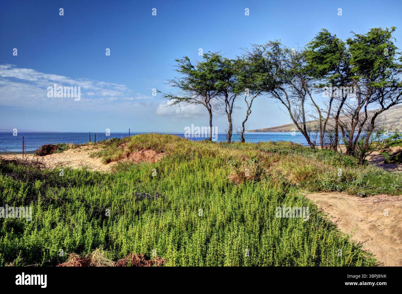 View of the beaches in Kihei on the Hawaiian island of Maui Stock Photo ...