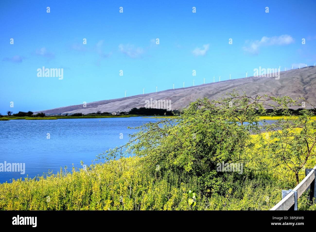 Views along the West Maui loop roadway on the Hawaiian island of Maui ...