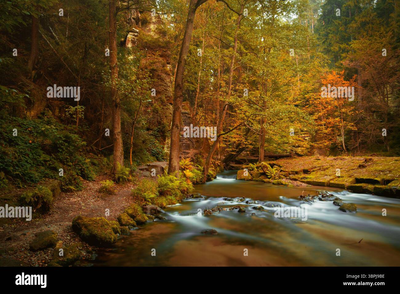 Creek is flowing through autumn forest ravine in flat design, featuring ...