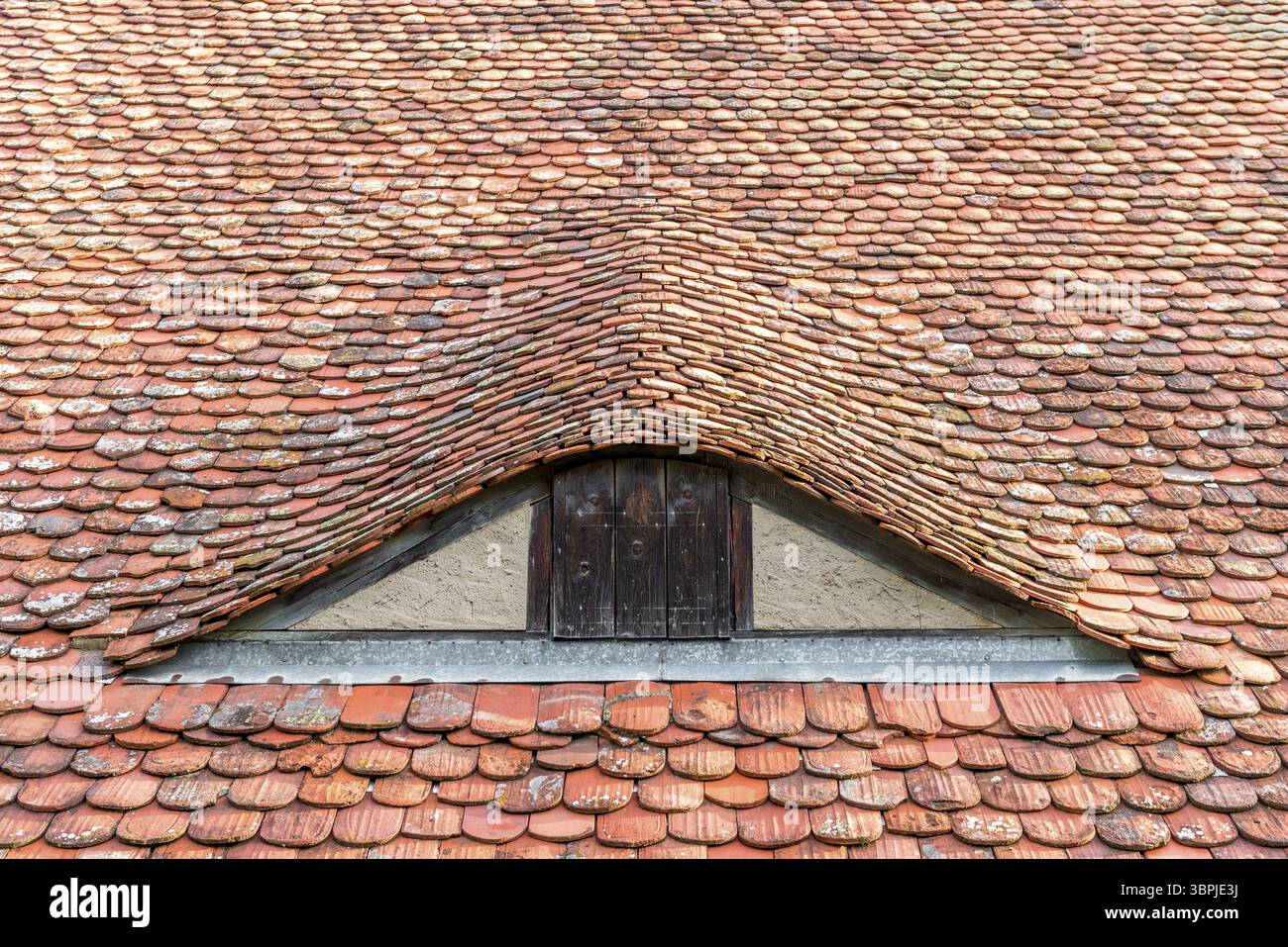 Curved barrel german hi-res stock photography and images - Alamy