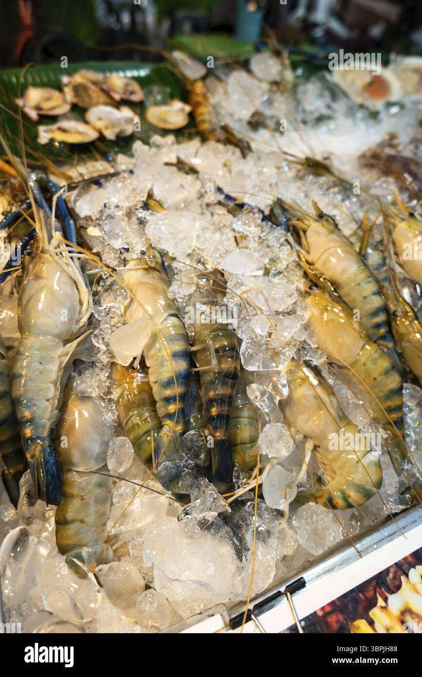 Fresh raw prawn, premium grade, on display at seafood market in Bangkok ...