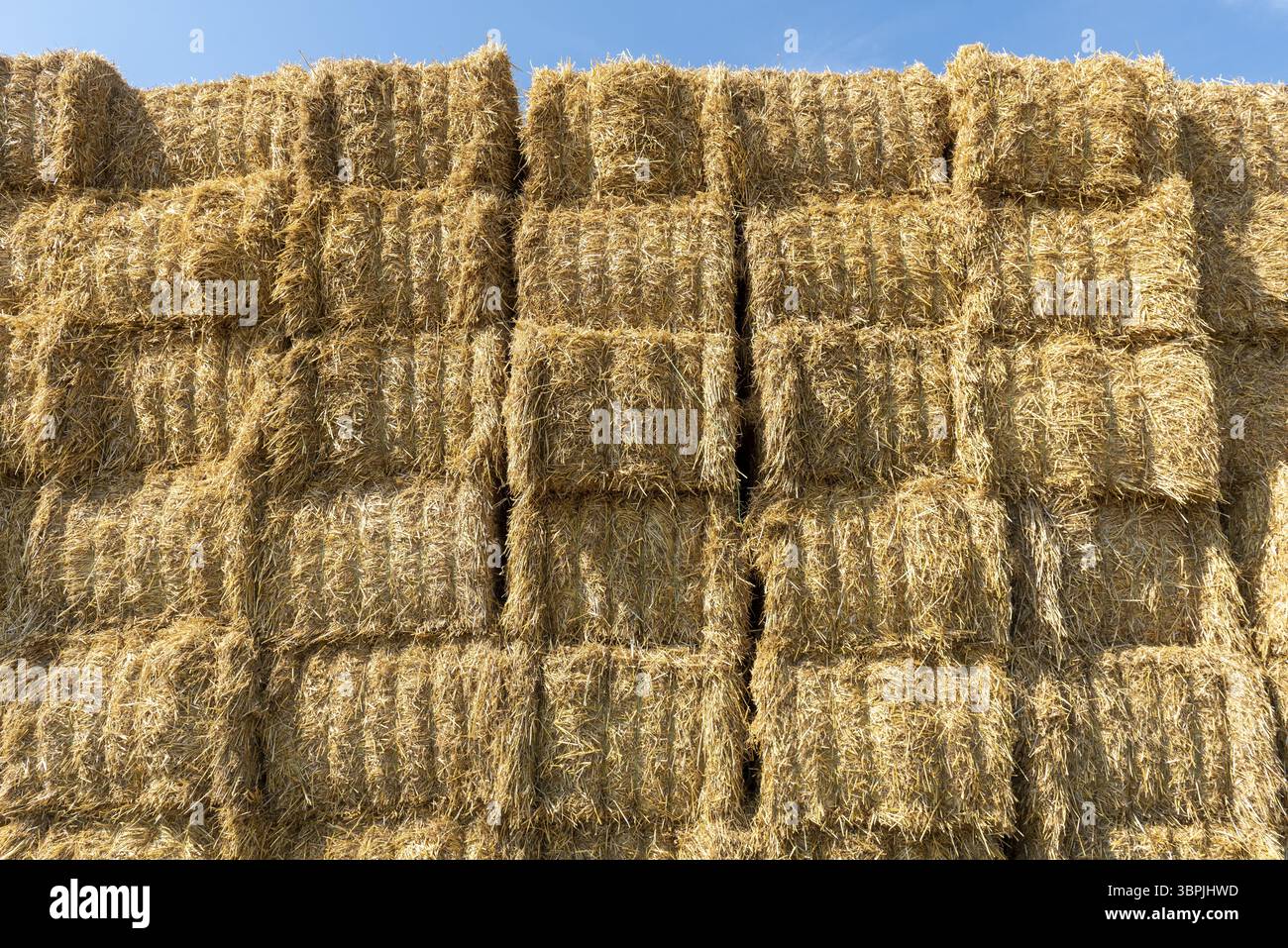 Stacked square bales of harvested hay in oblique sunlight Stock Photo ...