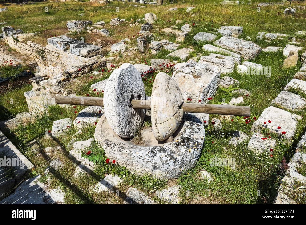 Ancient stone olive oil press in an ancient Greek archaeological site ...