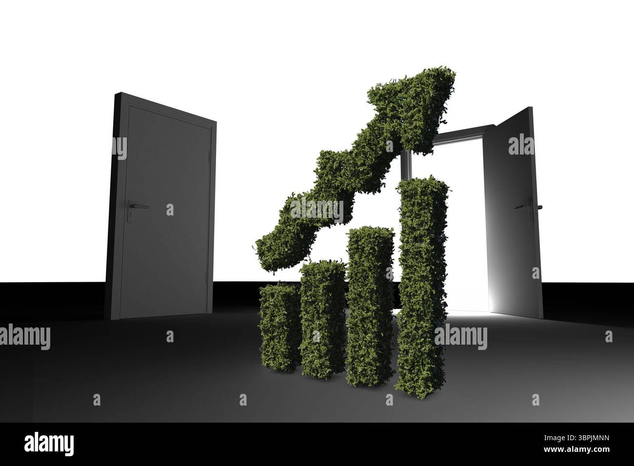 Topiary of graph with doors on floor Stock Photo - Alamy