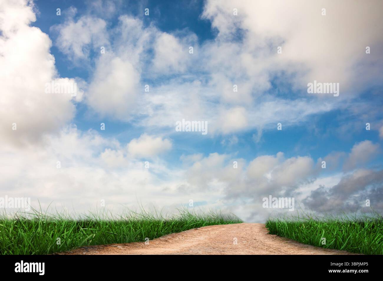 Road leading out to the horizon Stock Photo - Alamy