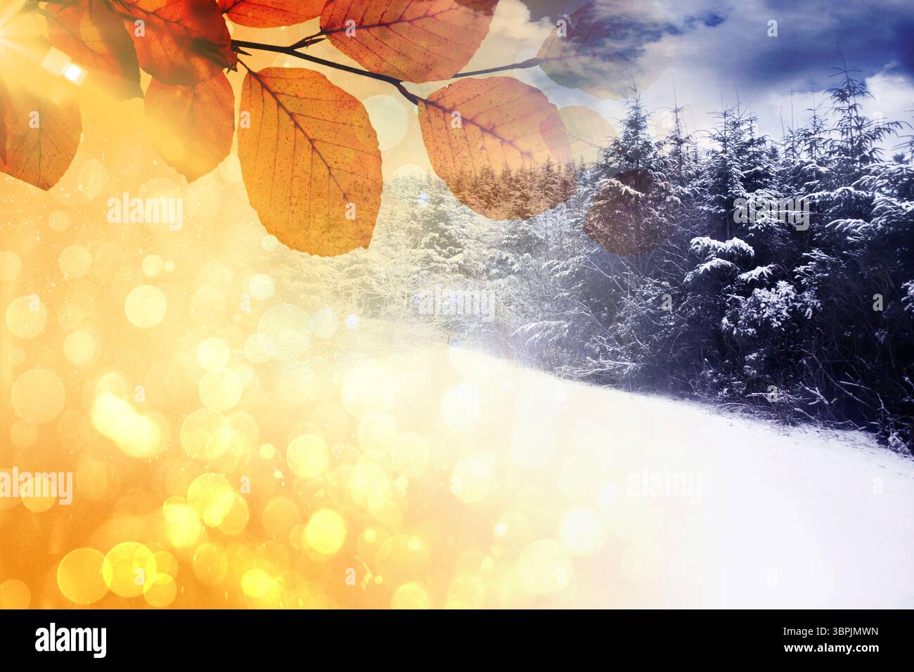 Autumn changing to winter Stock Photo - Alamy