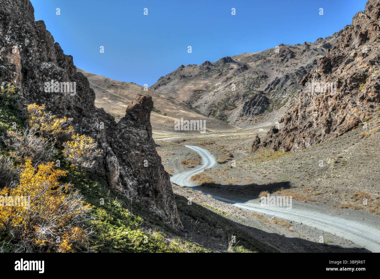 A gravel track meanders through a dried-up river valley in the Gobi ...