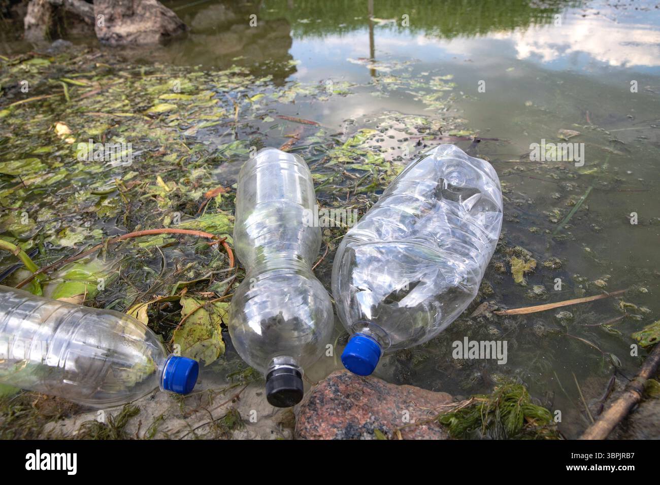 Three plastic bottles and green algae floating in dirty water near the ...