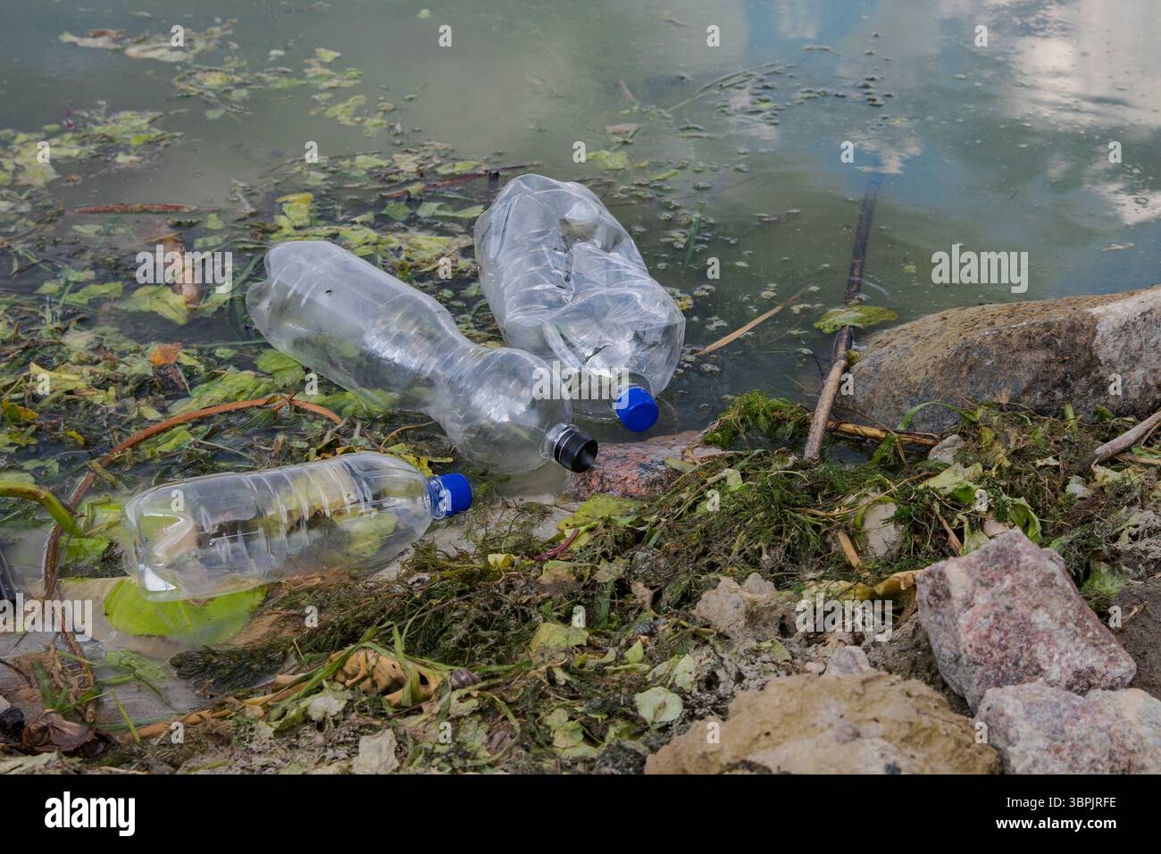 Three plastic bottles and green algae floating in dirty water near the ...