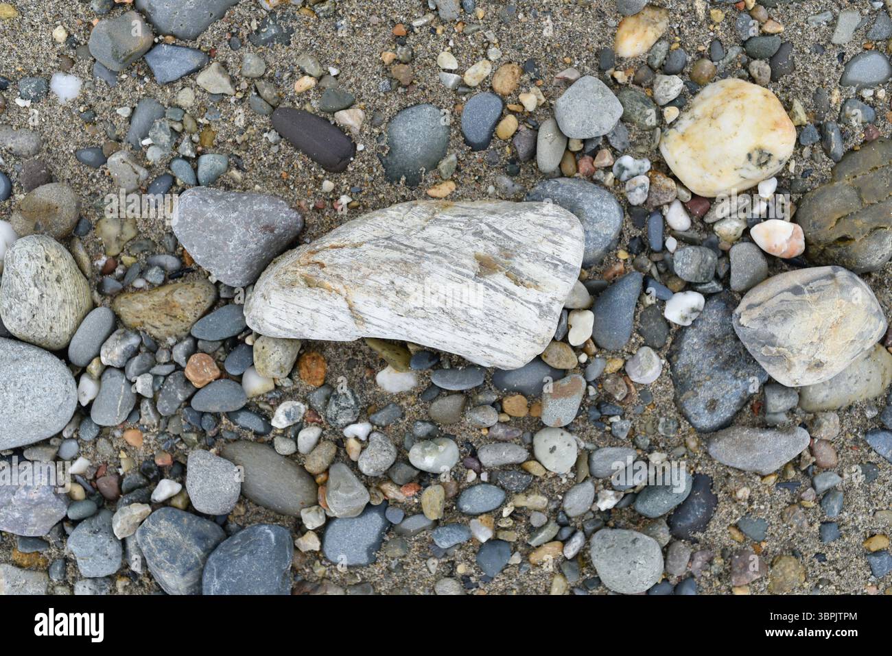 pebbles on a beach, Wales, UK Stock Photo - Alamy