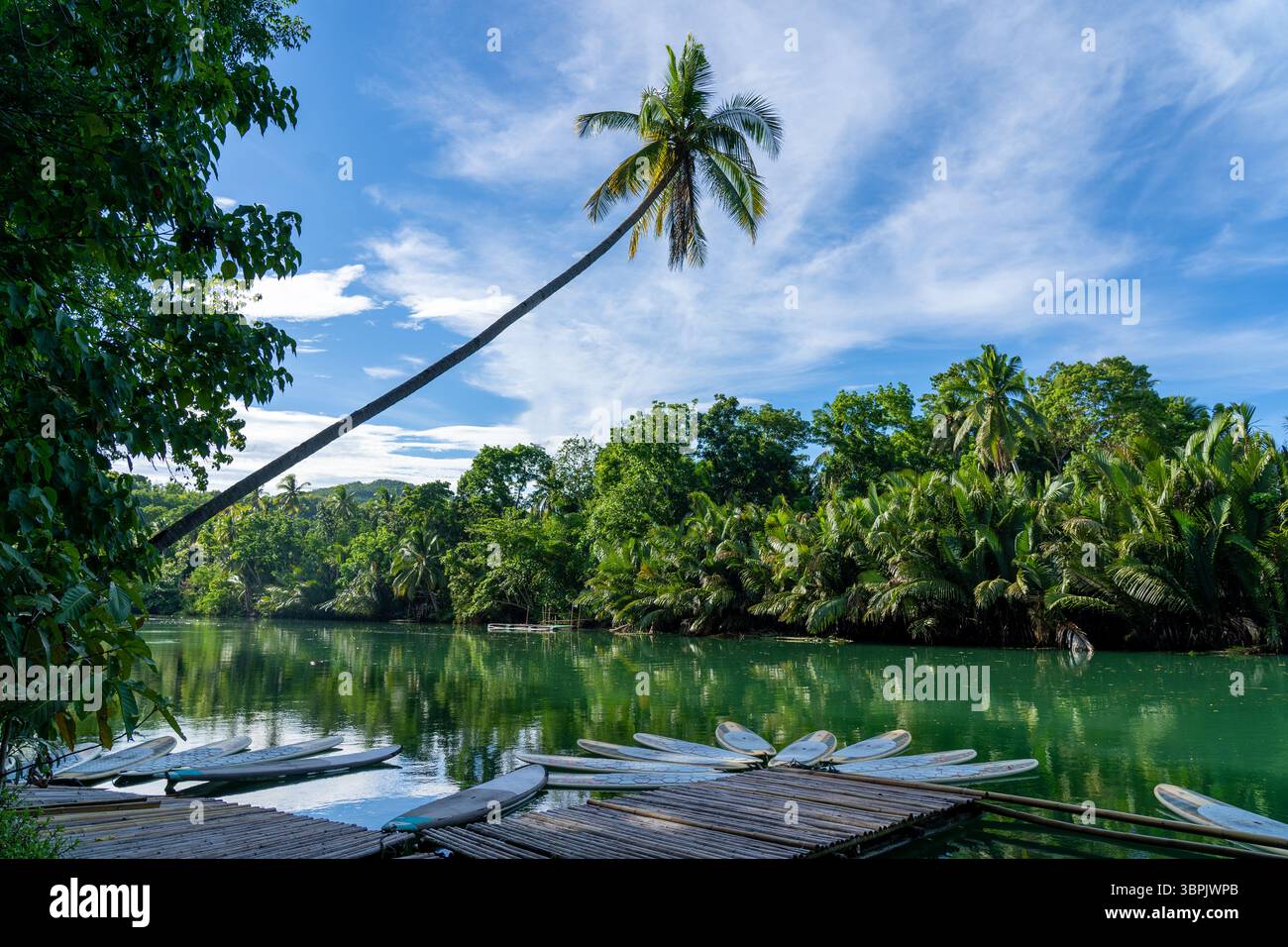 Loboc river in rainforest philippines hi-res stock photography and ...