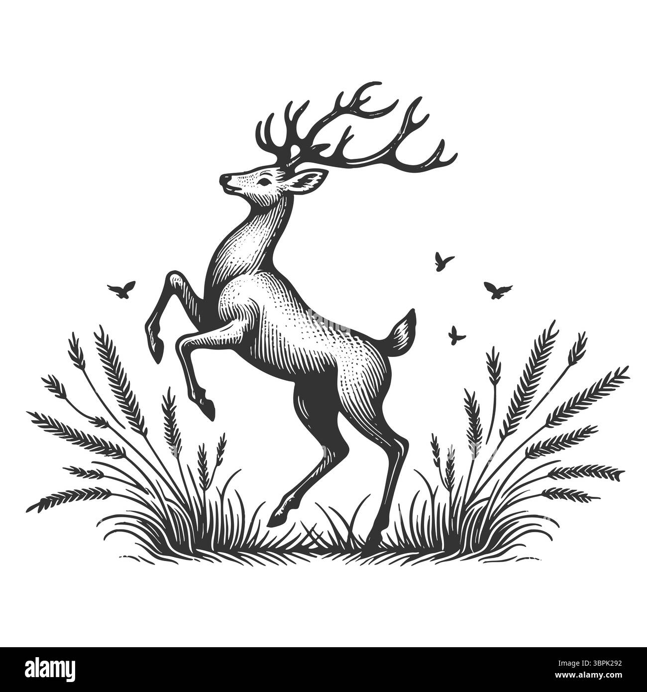 Rearing Stag engraving sketch vector illustration Stock Vector Image ...