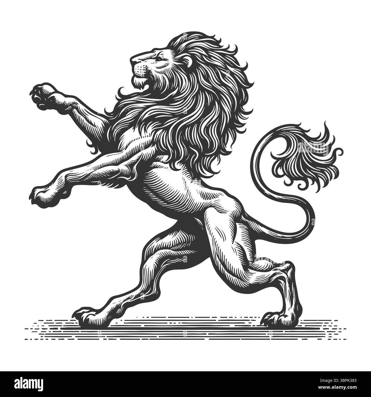 Heraldic Lion engraving sketch vector illustration Stock Vector Image ...