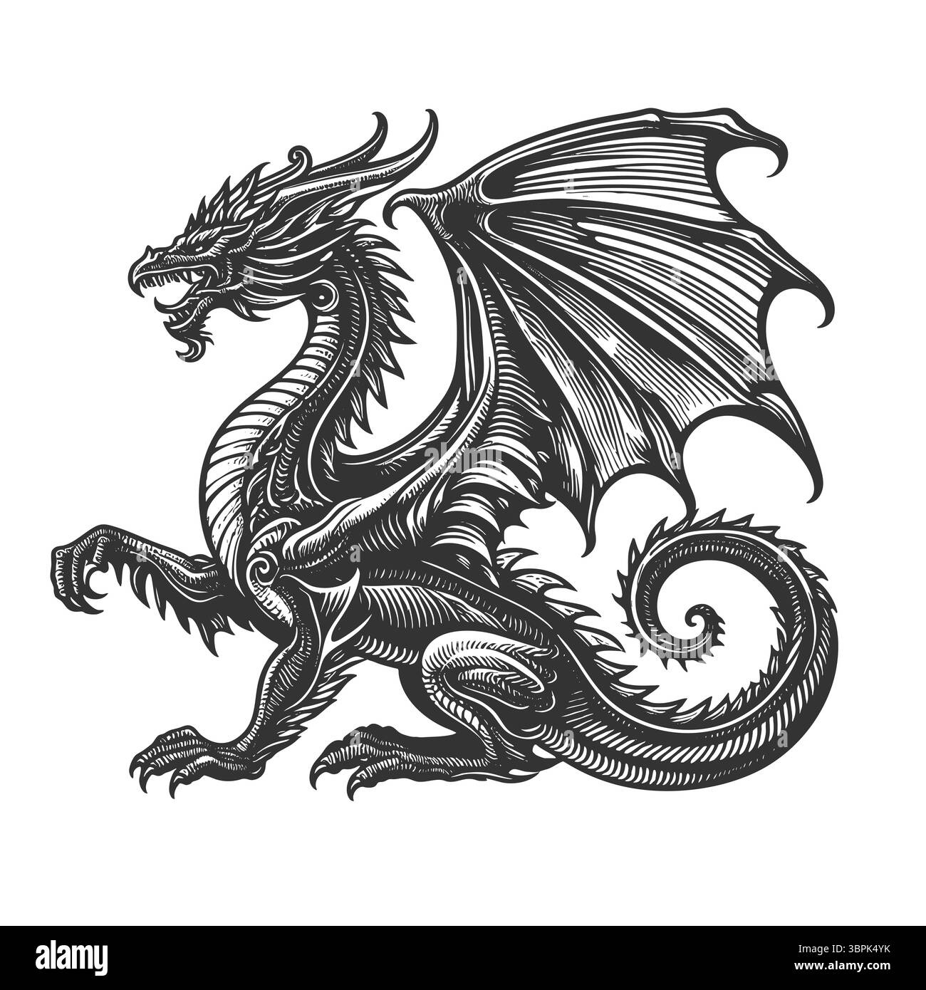 Dragon engraving sketch vector illustration Stock Vector Image & Art ...