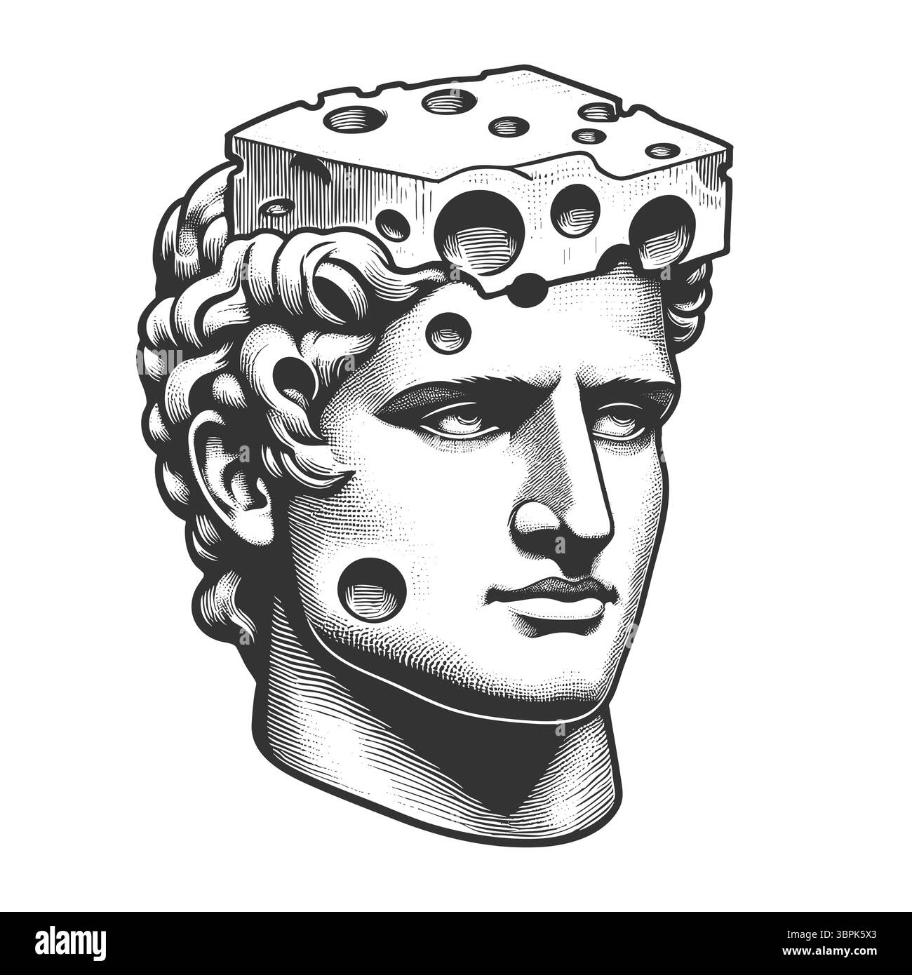Cheese Head engraving sketch vector illustration Stock Vector Image ...