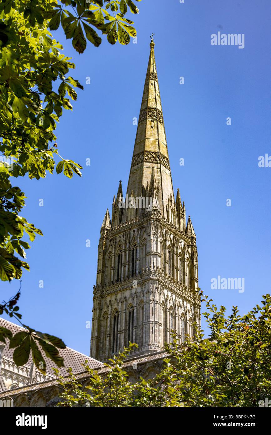 view of exterior with spire, Salisbury Cathedral, England, UK Stock ...