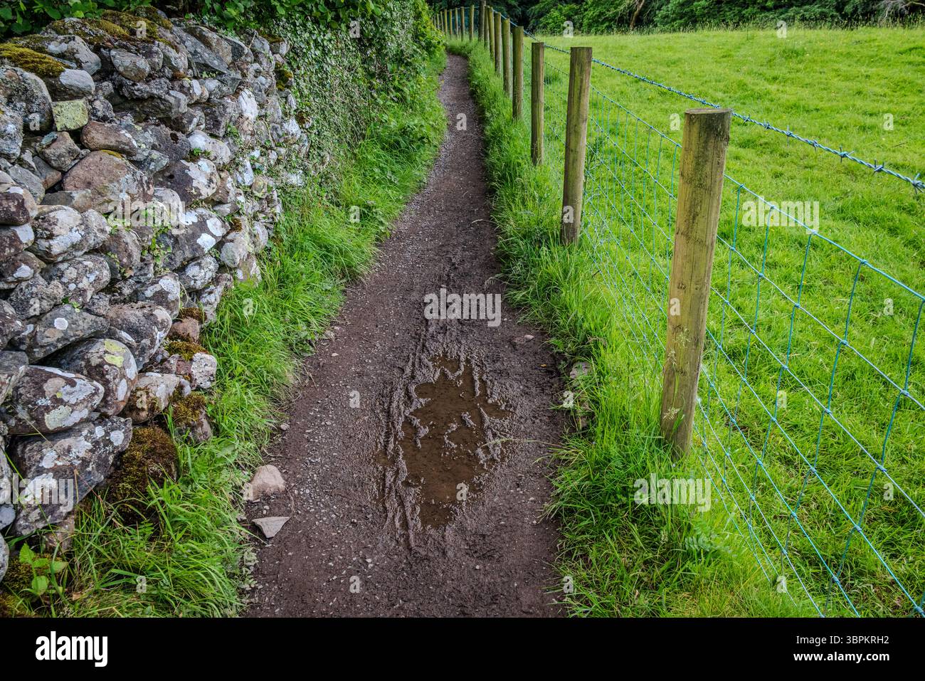 Narrow dirt lane winds hi-res stock photography and images - Alamy