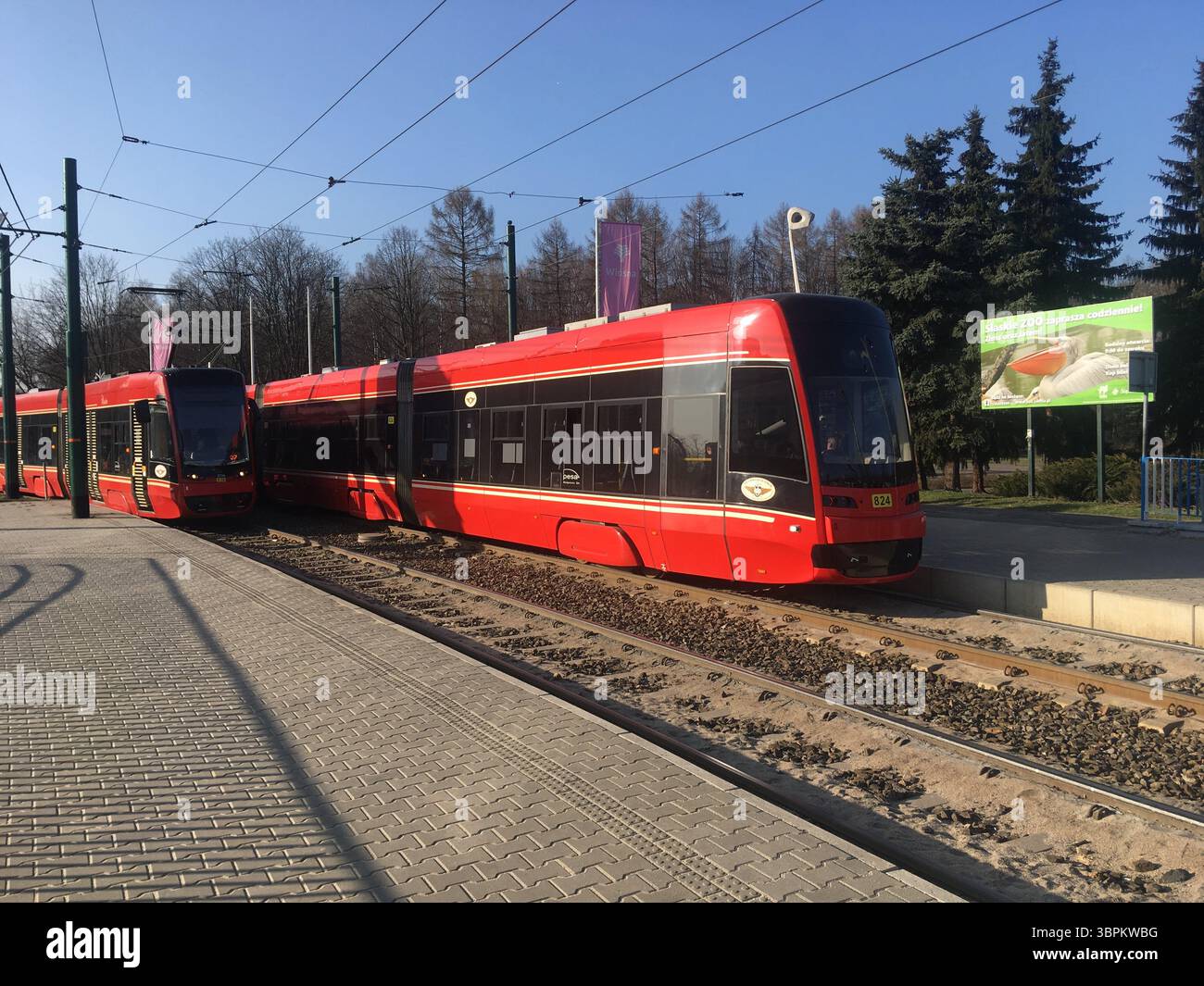 Trams on busy city‑centre streets of Katowice, showing modern and ...