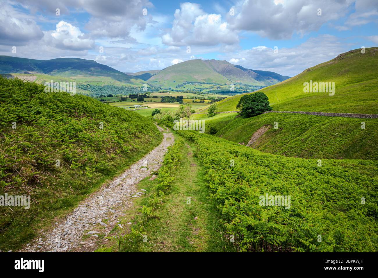 View rolling hills meandering hi-res stock photography and images - Alamy