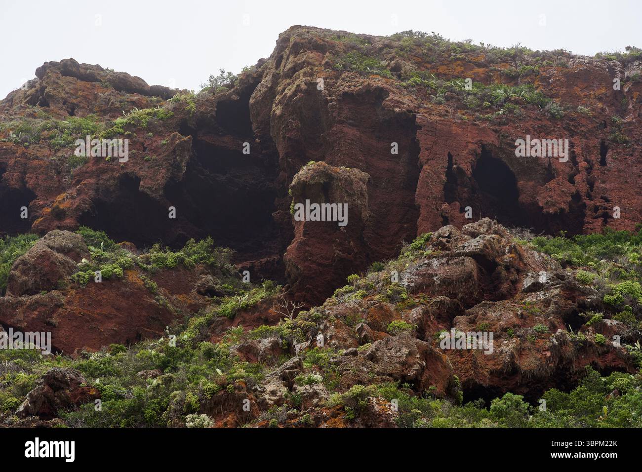 Volcanic cave opening in dark basaltic rock surrounded by shrubs and ...