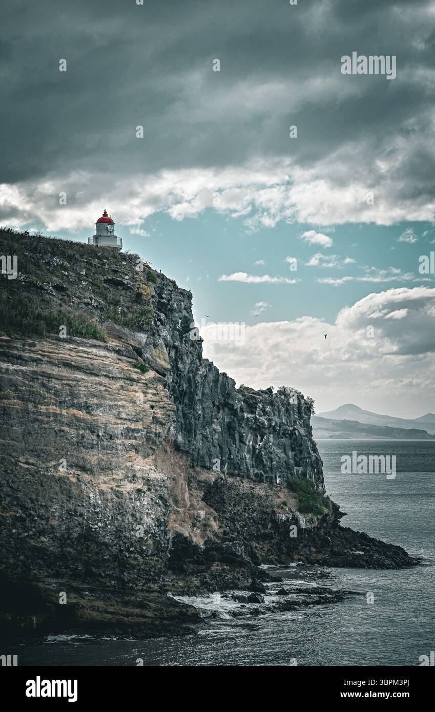 Otago coast hi-res stock photography and images - Alamy