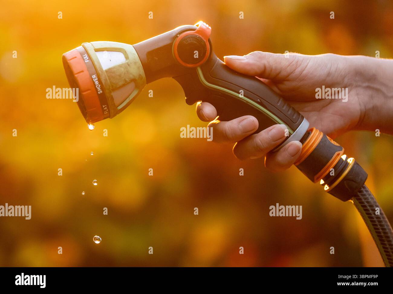 EDITORS NOTE An orange gel has been placed over a flash gun to create ...