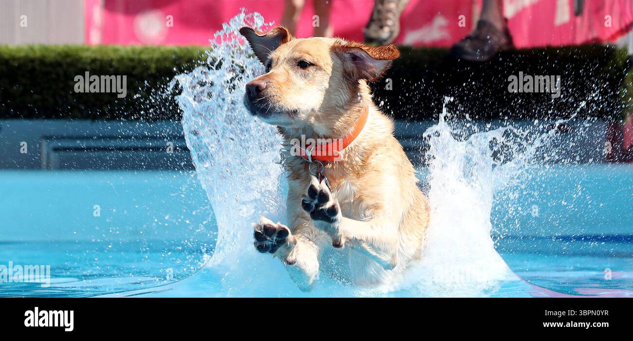Klimb hi-res stock photography and images - Alamy