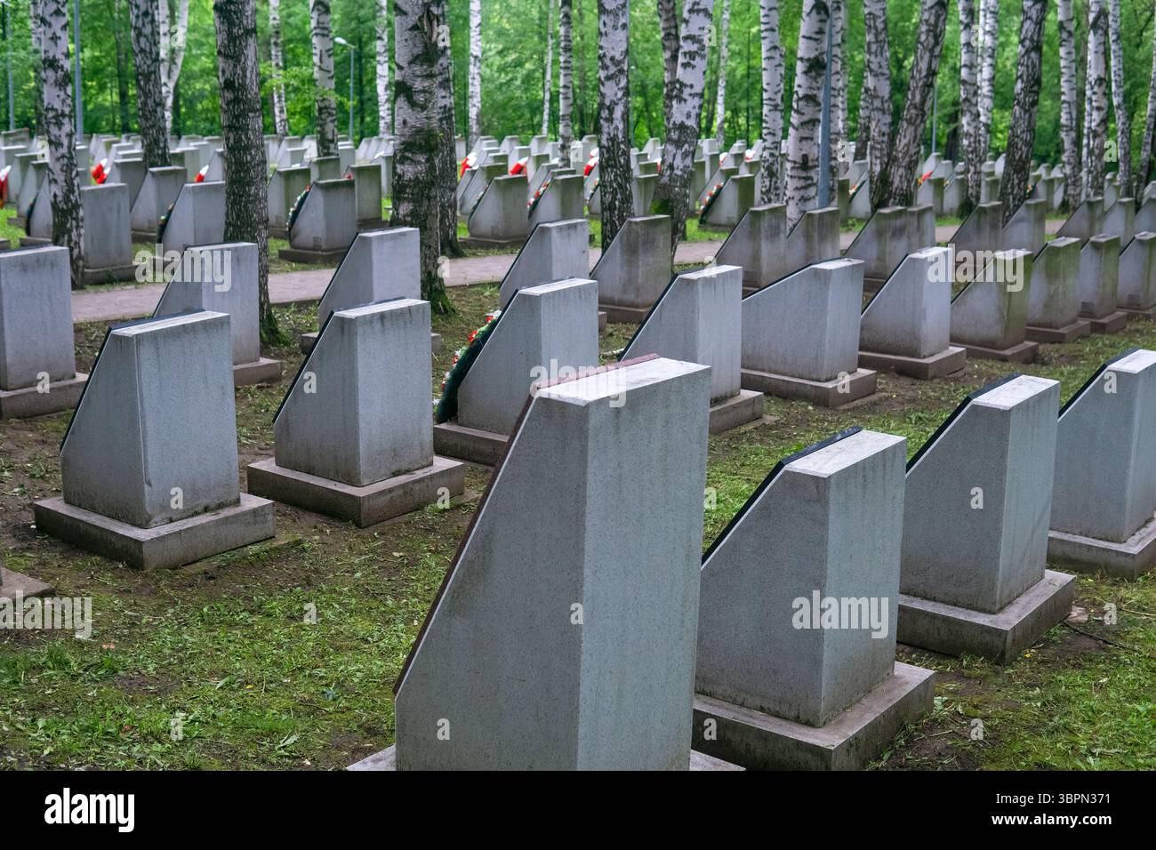 old memorial military cemetery with tombstones Stock Photo - Alamy