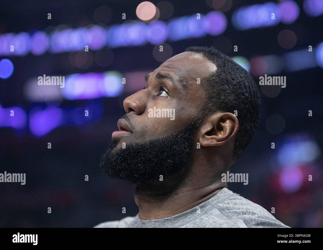 Elisabeth murdoch 2020 hi-res stock photography and images - Alamy