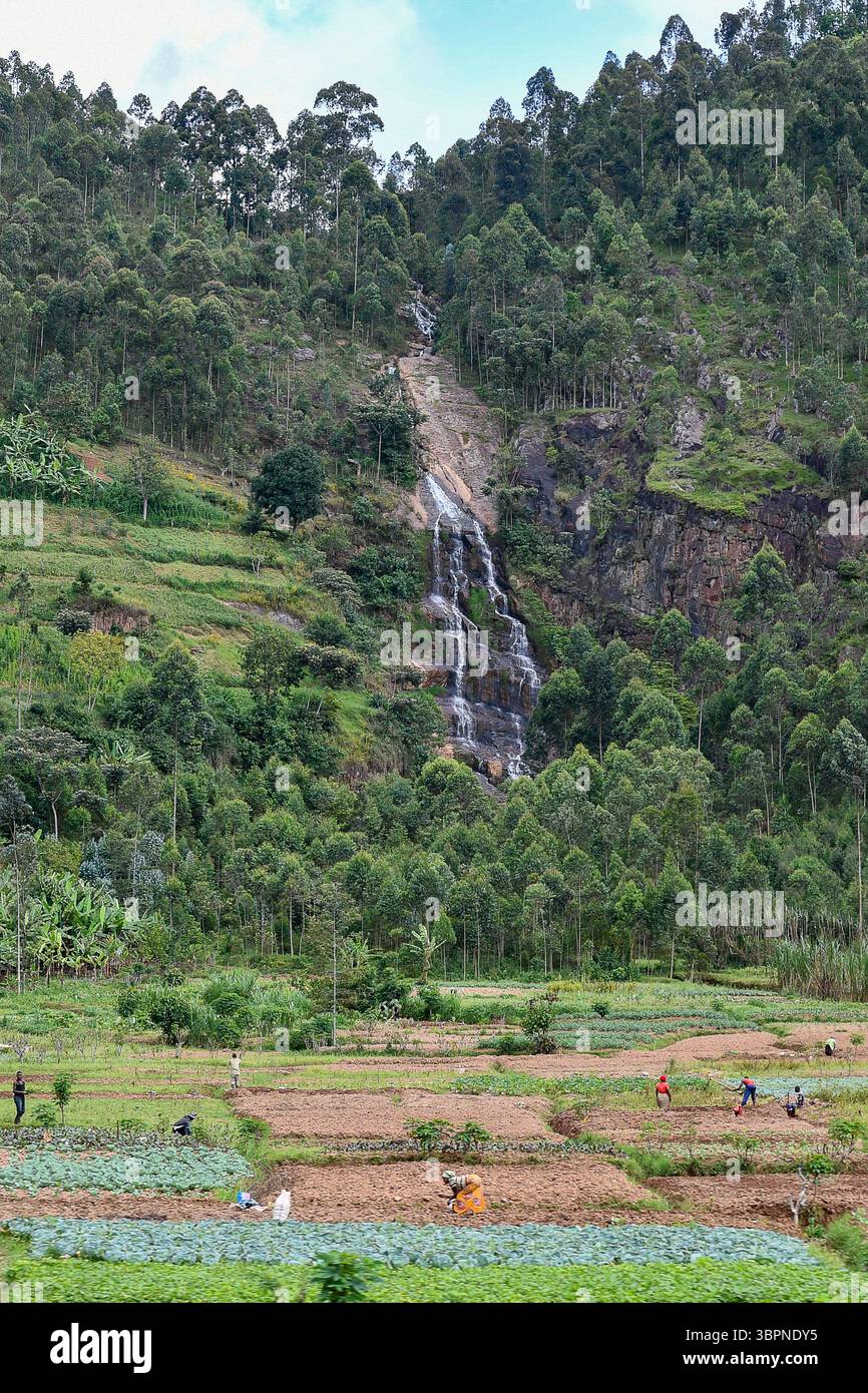 Cultivated hillside fields with a waterfall in the background near ...