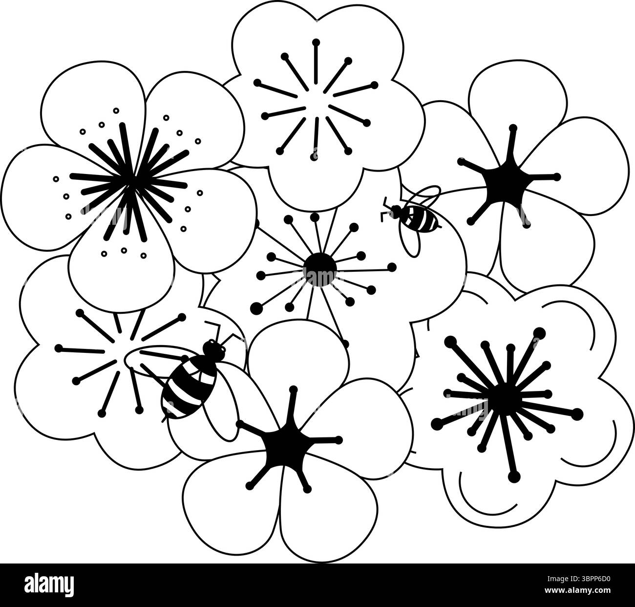 Cone flower echinacea flower vector vectors hi-res stock photography ...