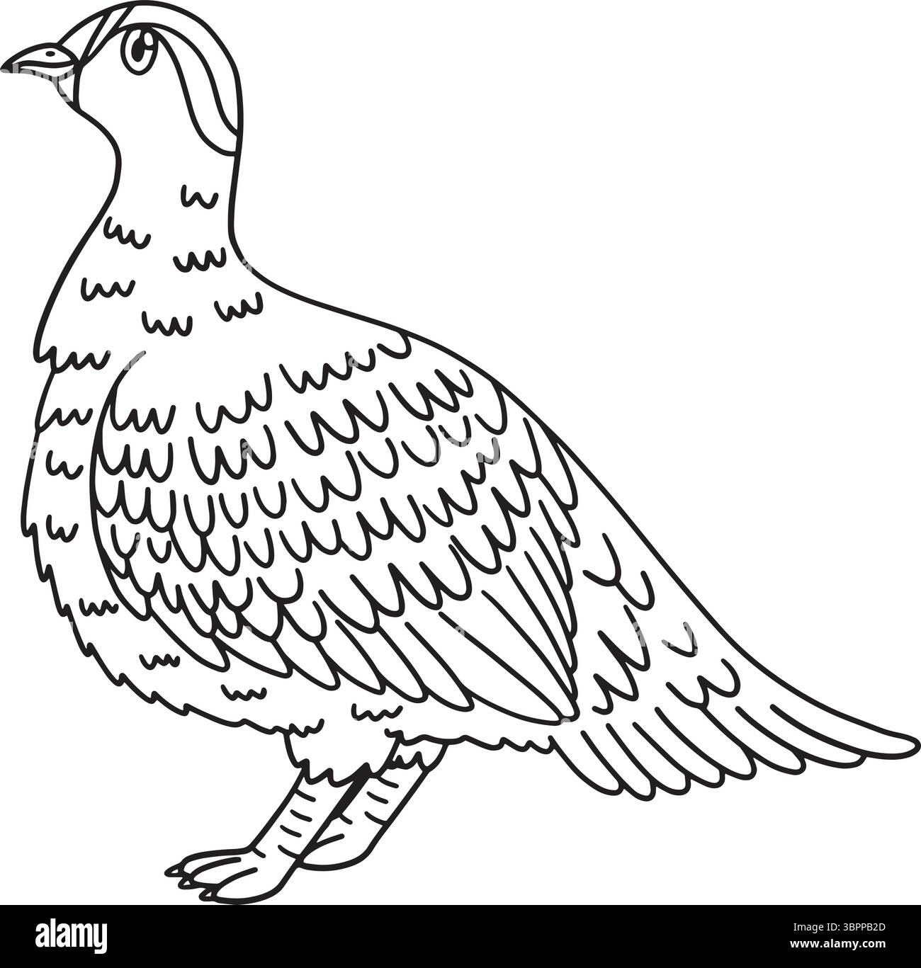 Crowned Sandgrouse Isolated Coloring Page for Kids Stock Vector Image ...