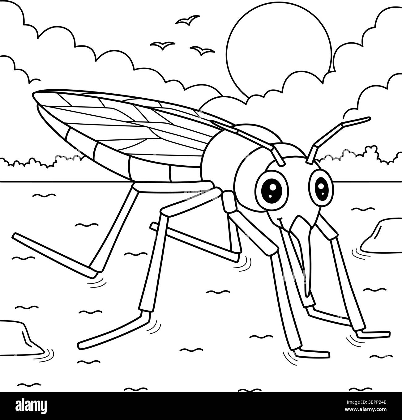Insect Water Strider Animal Coloring Page for Kids Stock Vector Image ...