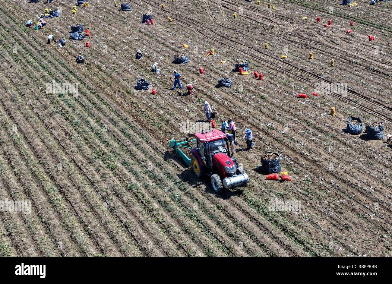 (250709) -- TANGSHAN, July 9, 2025 (Xinhua) -- An aerial drone photo ...